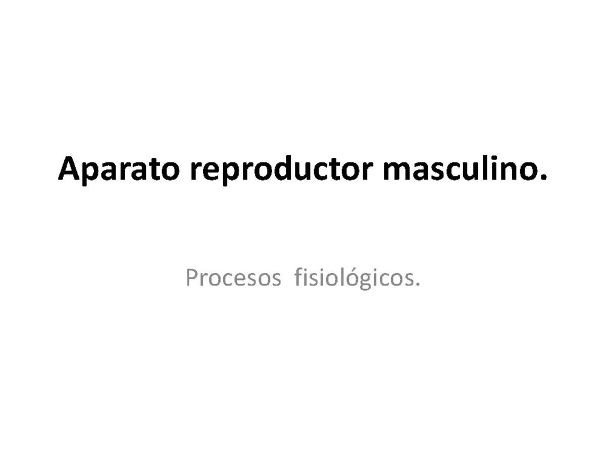 Informe - "Aparato Reproductor Masculino" - Warning: TT: undefined function: 22 Warning: TT ...