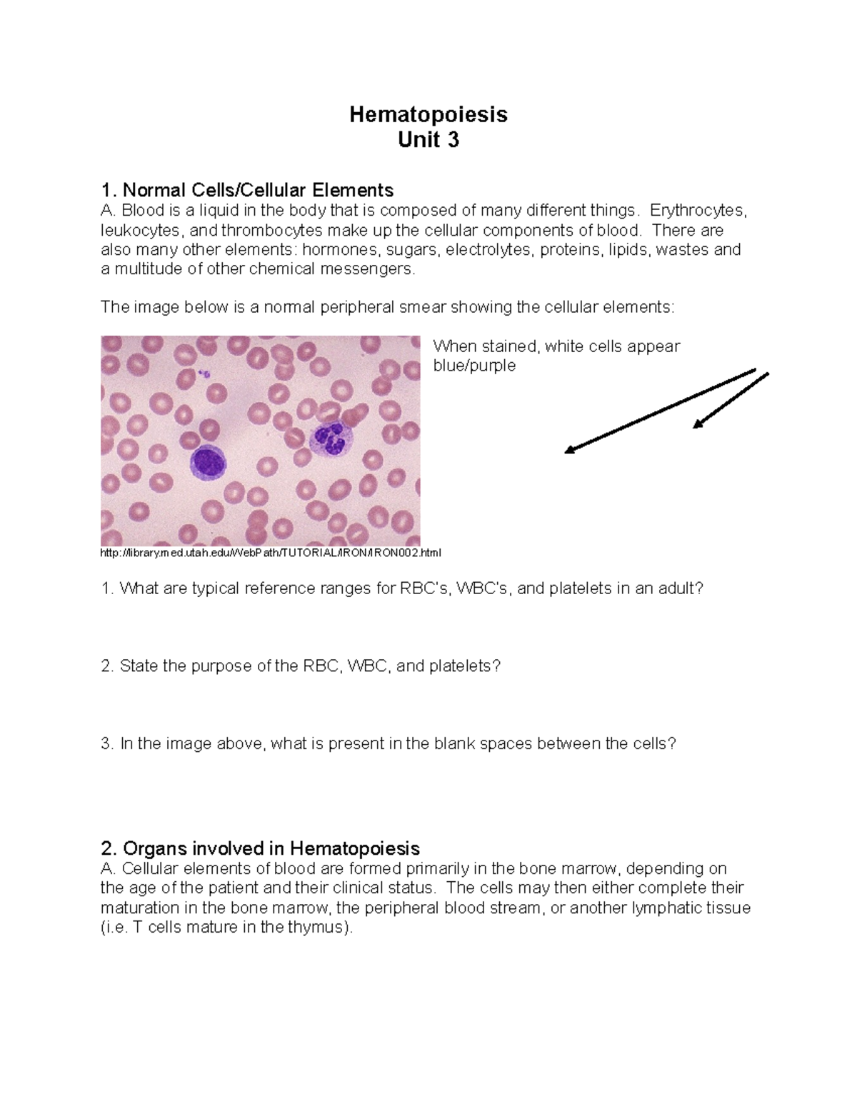 Biol334 Unit 3 Hematopoiesis Lab Overview and Key Concepts - Studocu