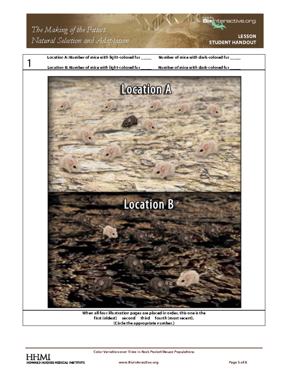 The Making of the Fittest: Natural Selection & Adaptation 1 Lesson ...