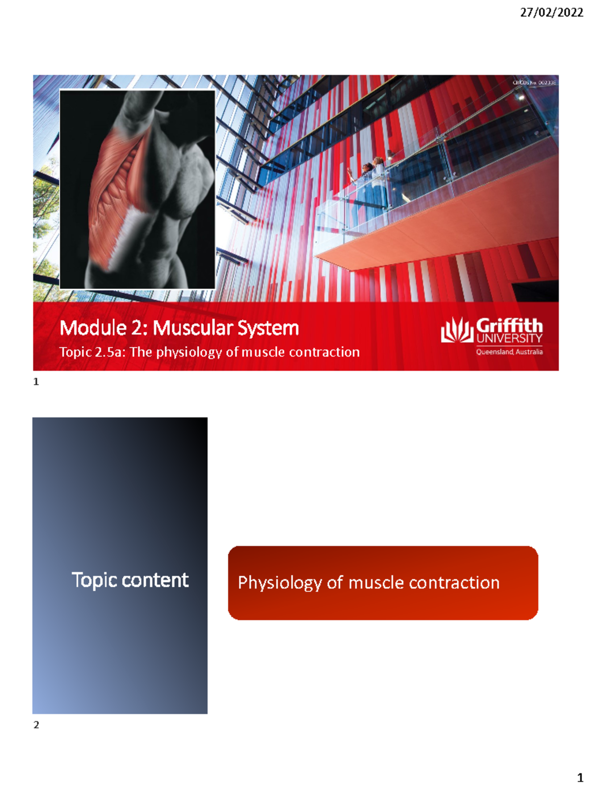 Muscular System Physiology: Excitation-Contraction Coupling (Topic 2.5a) - Module 2: Muscular ...