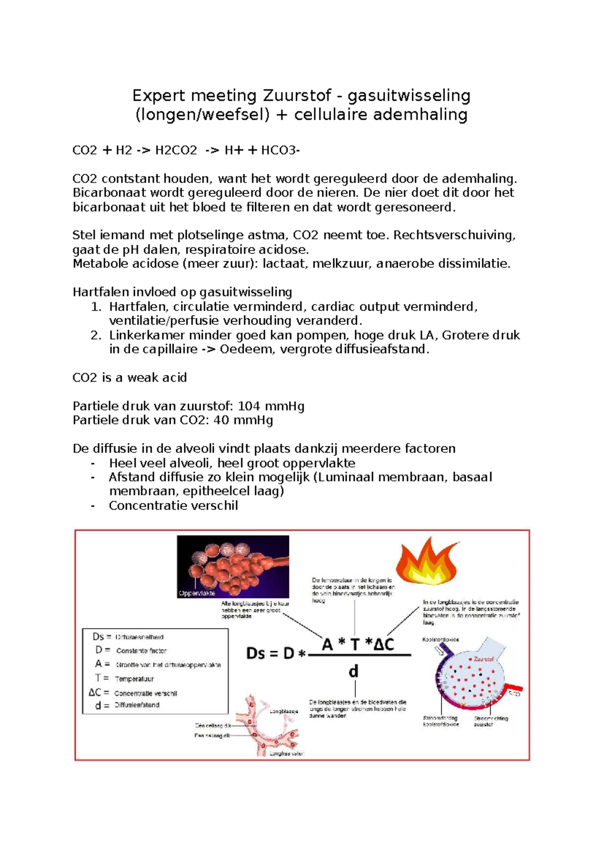Expert Meeting: Zuurstof Gasuitwisseling en Ademhaling Mechanismen ...