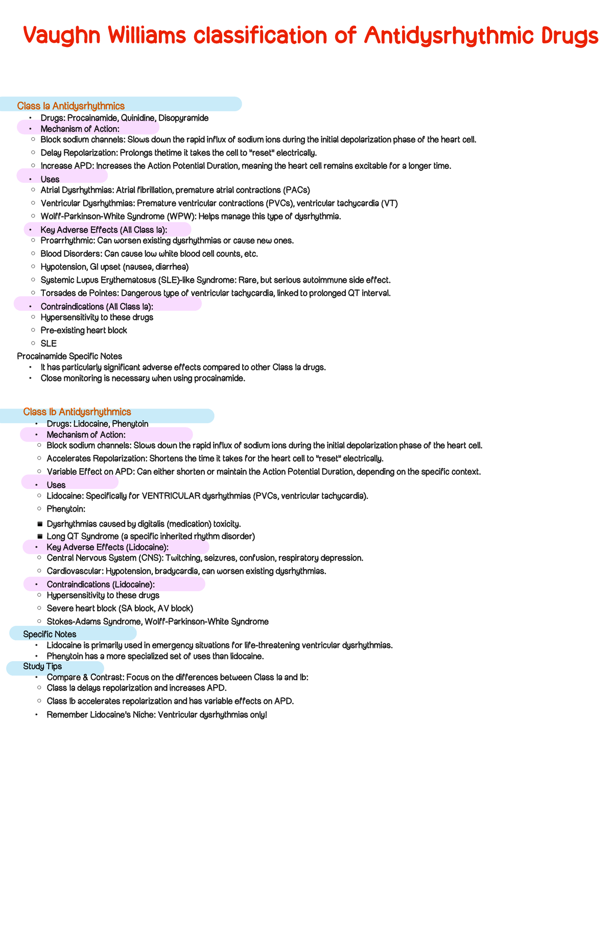Class Ia and Ib Antidysrhythmics: Key Facts and Study Notes - Studocu