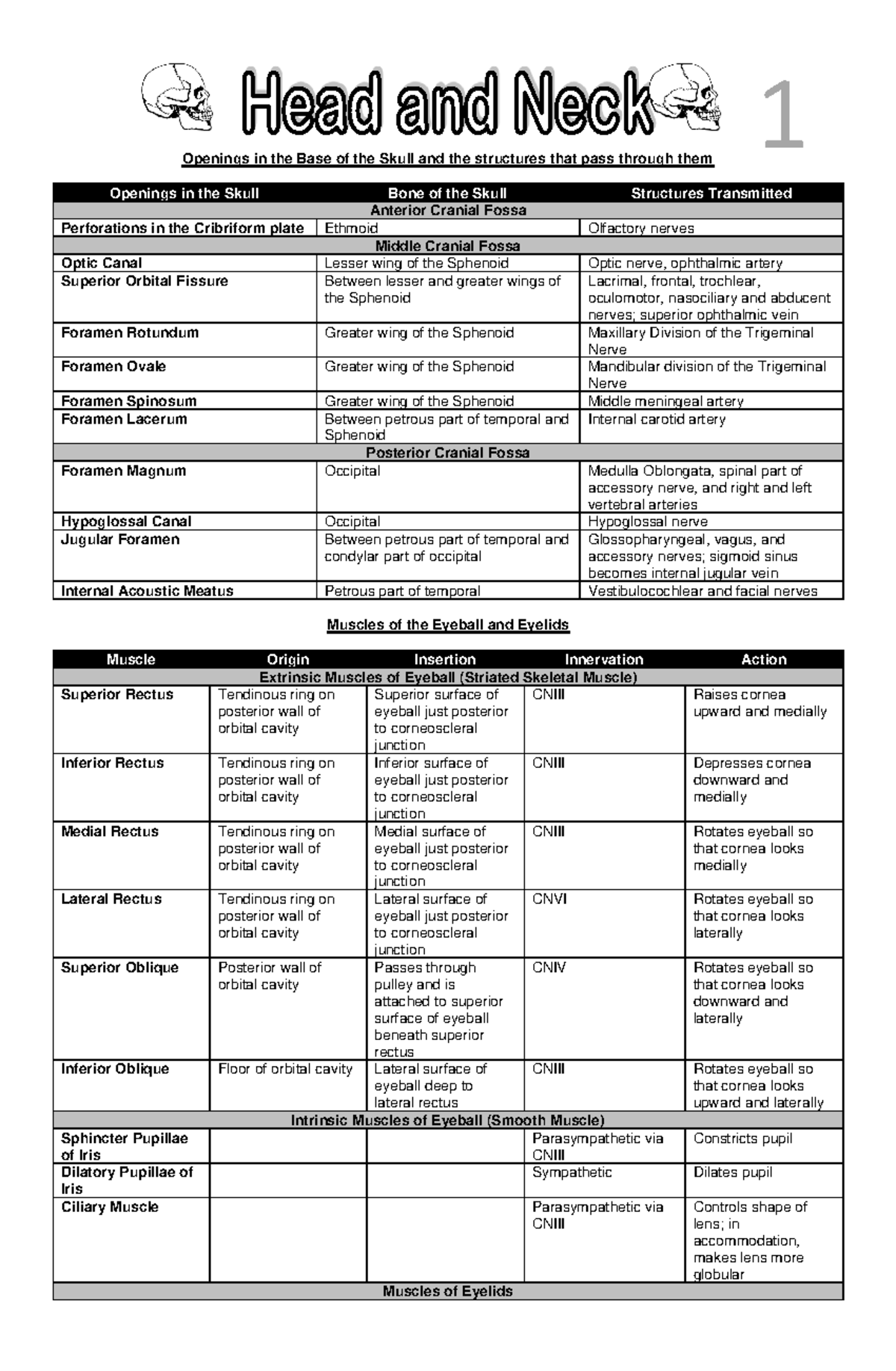 Ana-Bible: Openings, Muscles & Cranial Nerves - AnaPhy Notes - Studocu