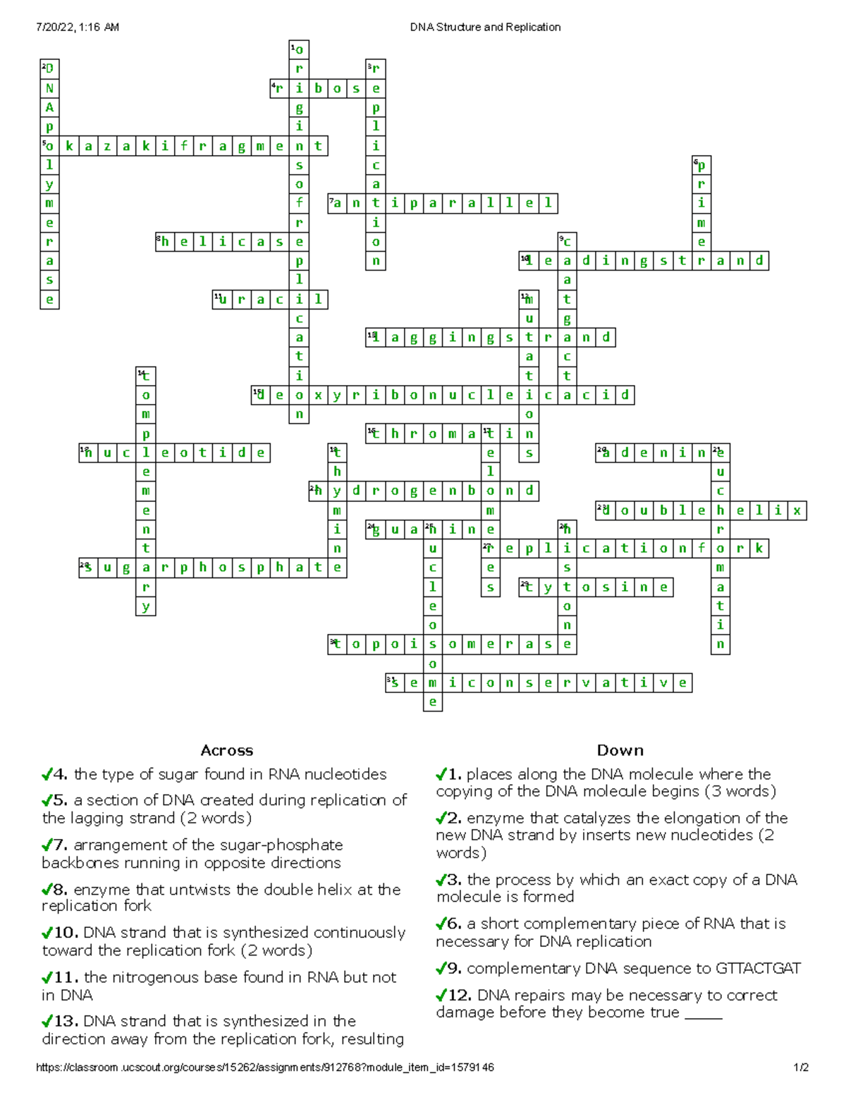 S16 - Assignment DNA Structure and Replication Crossword Puzzle - 7/20 ...