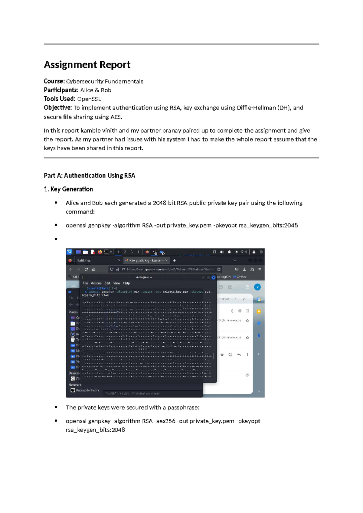 Assignment Report: Cybersecurity Fundamentals - RSA, DH, and AES ...