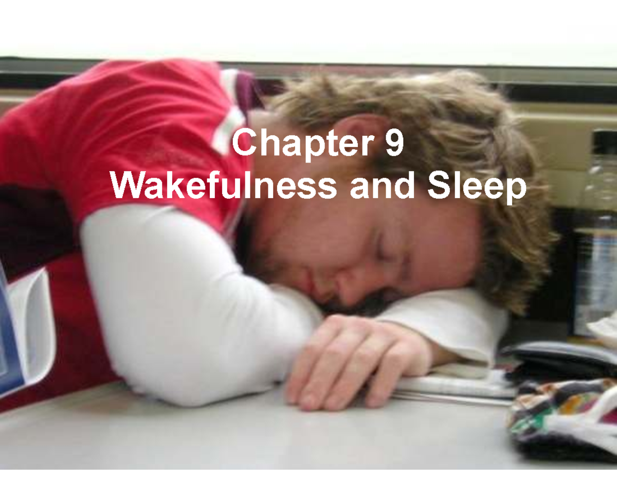 Brain Mechanisms of Sleep and Wakefulness: Chapter 9 Study Guide ...