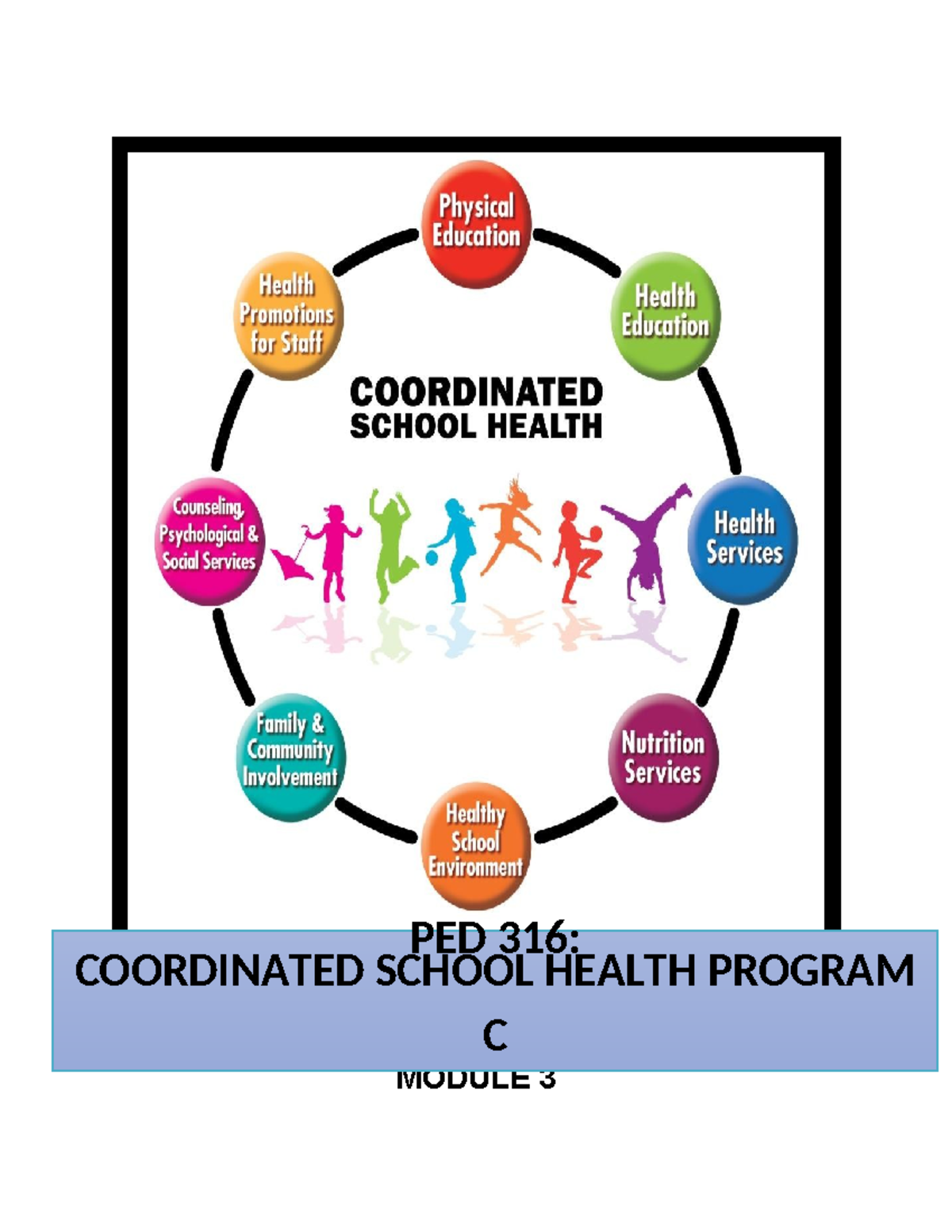 PED 316: Module 3 - Vision & Mission for School Health Advisory ...