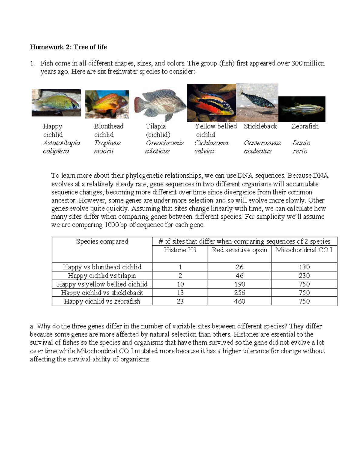 HW2: Tree of Life - Phylogenetic Relationships of Fish Species - Studocu