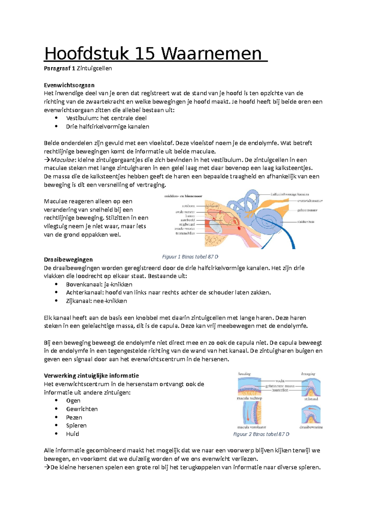 Hoofdstuk 15: Waarnemen en Zintuigcellen in de Menselijke Anatomie ...