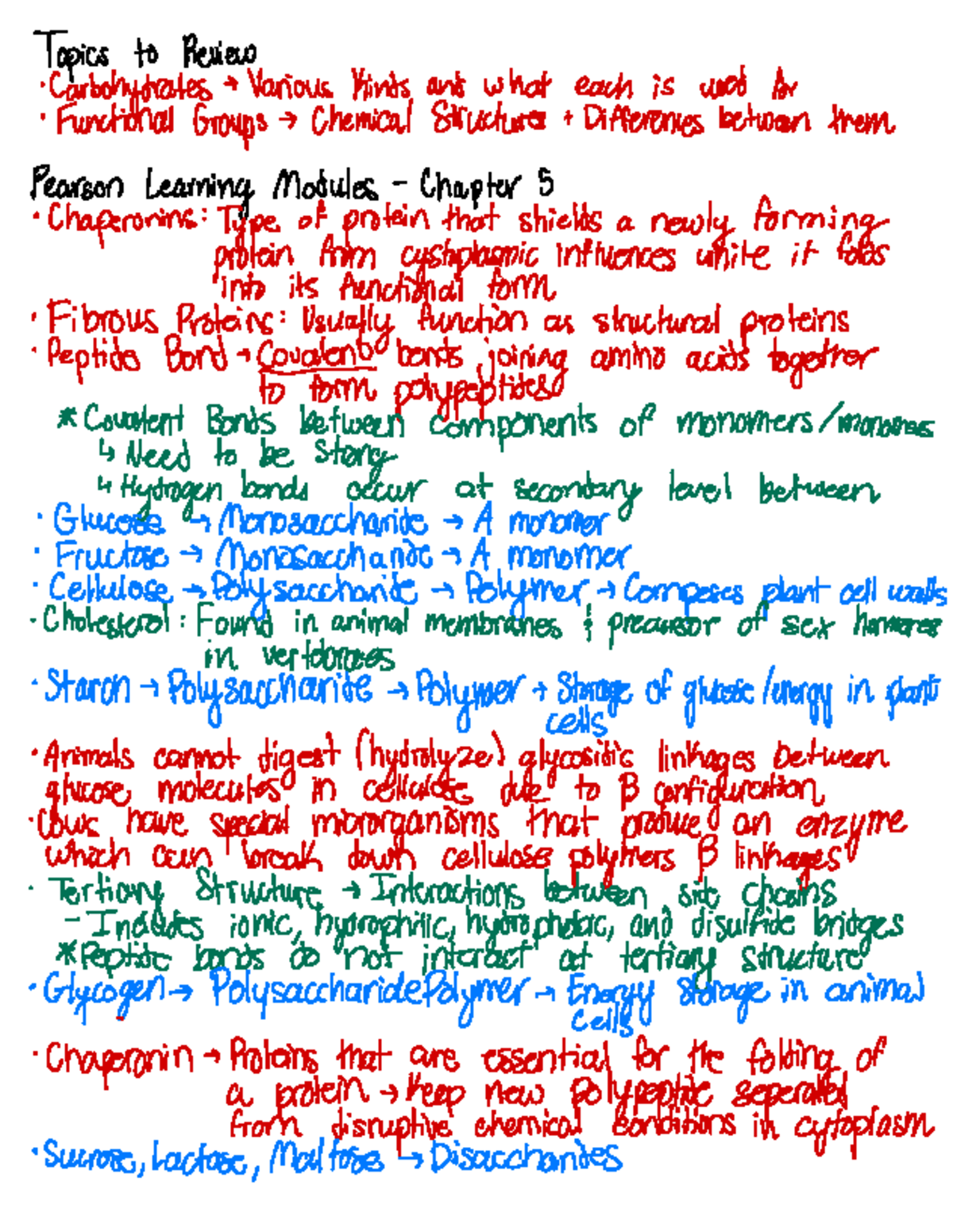 Module 1: Mind Mapping on Carbohydrates and Protein Structures - Studocu
