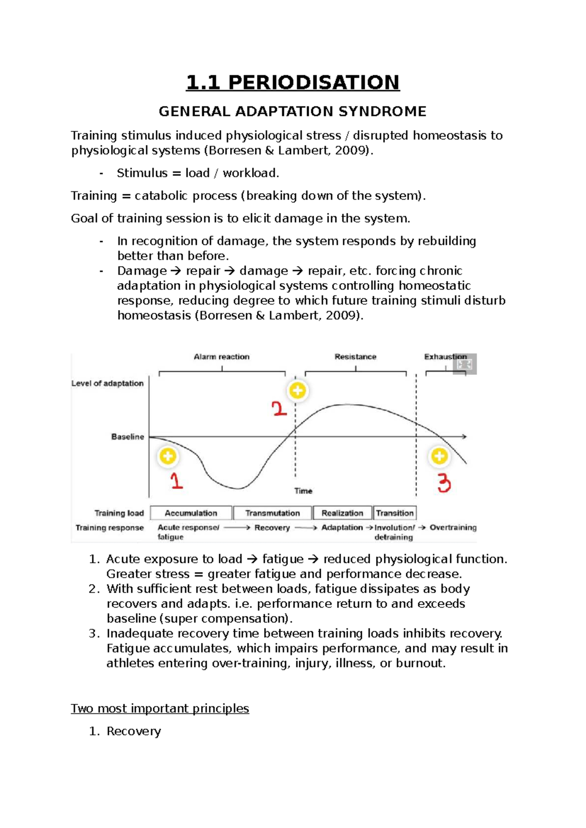 WEEK 1 - Periodization & Planning (P1) Overview of General Adaptation ...