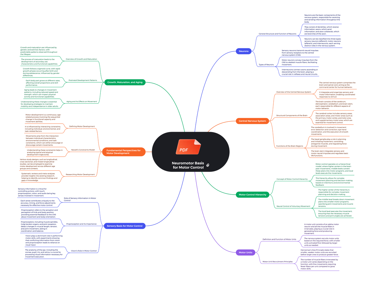 Neuromotor Control: Structure, Function, and Development Insights - Studocu