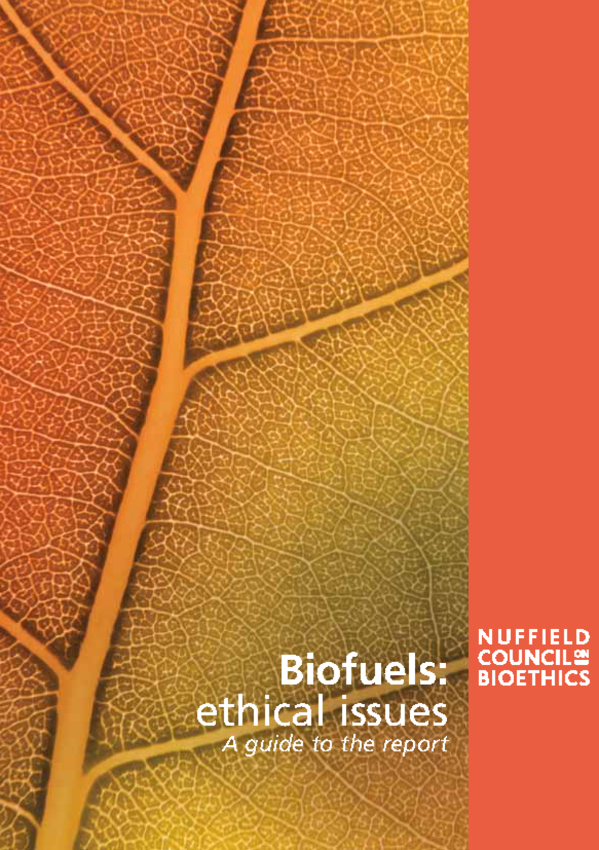 Biofuels ethical issues A5 Guide - Biofuels: ethical issues A guide to ...