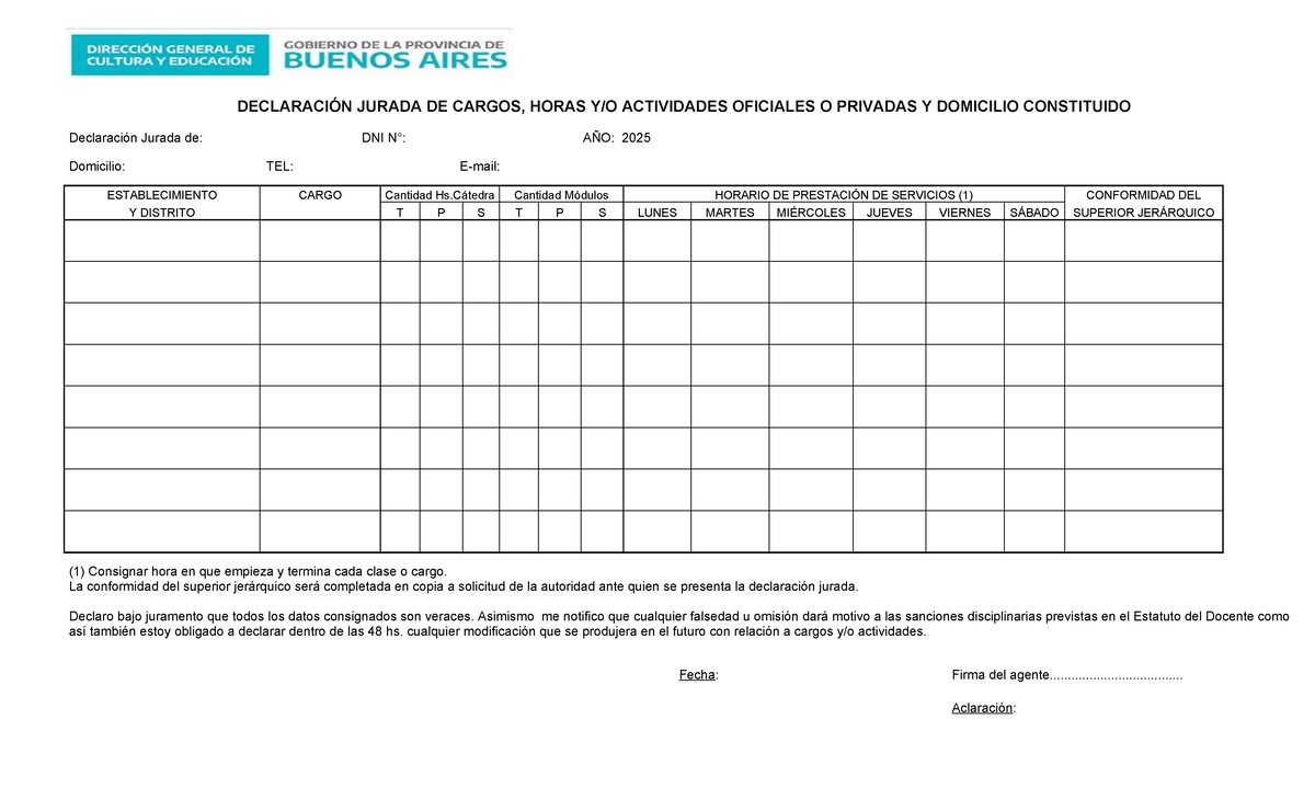 DDJJ 2025 - Declaracion jurada Provincia de Buenos Aires - DECLARACIÓN JURADA DE CARGOS, HORAS Y ...