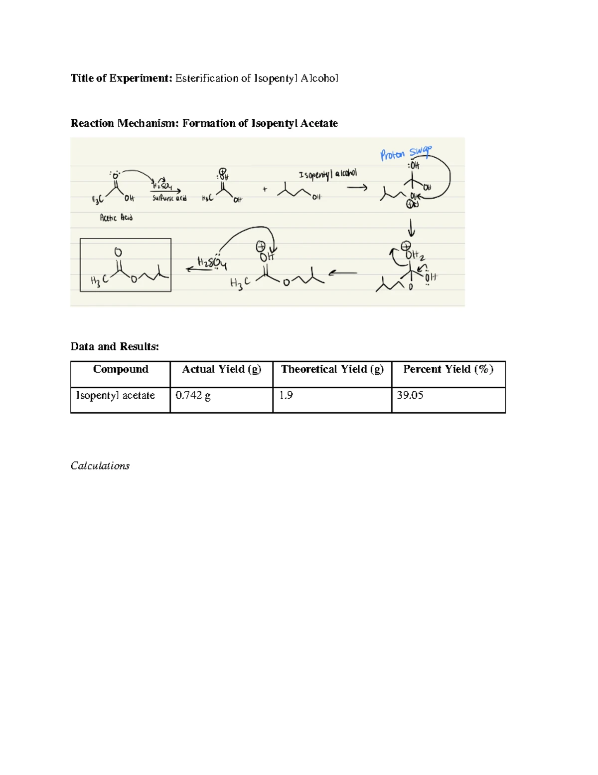 Acetylferrocene Synthesis Lab Report (CHEM 202, Spring 2025) - Studocu