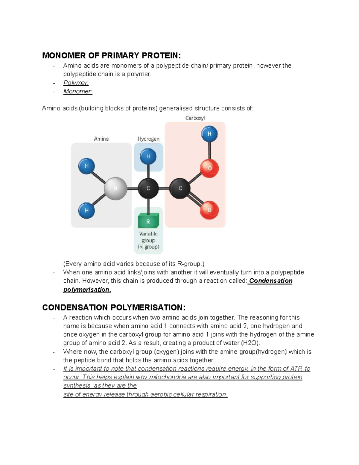 Proteins: Monomers, Polymerization, and Structural Levels - Studocu