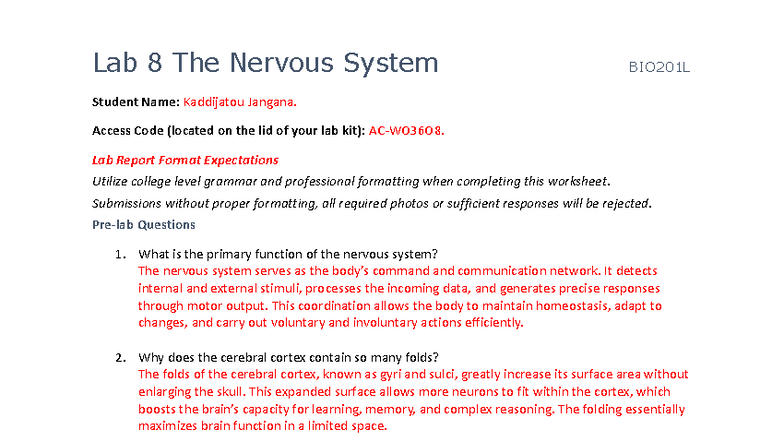 BIO201L Lab 8: Nervous System Anatomy and Dissection Notes - Studocu