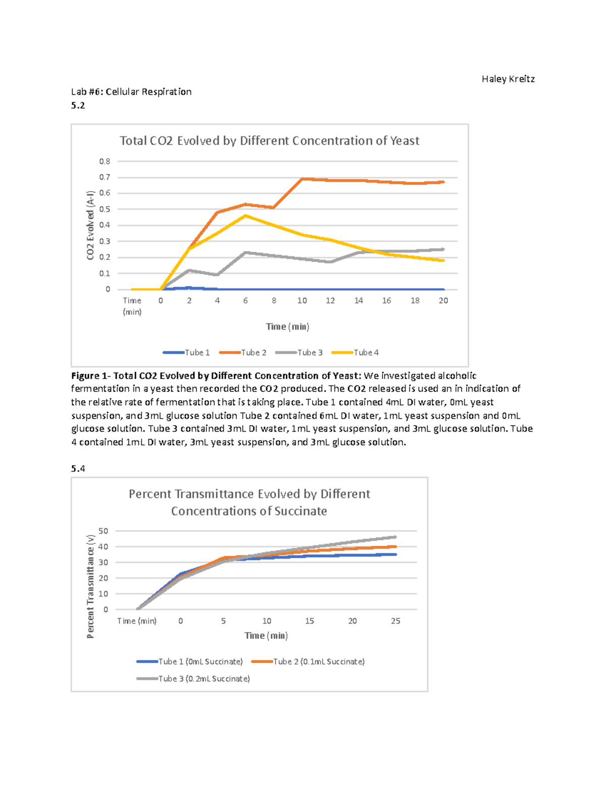 Biolab #6: Investigating Cellular Respiration and Yeast Fermentation ...