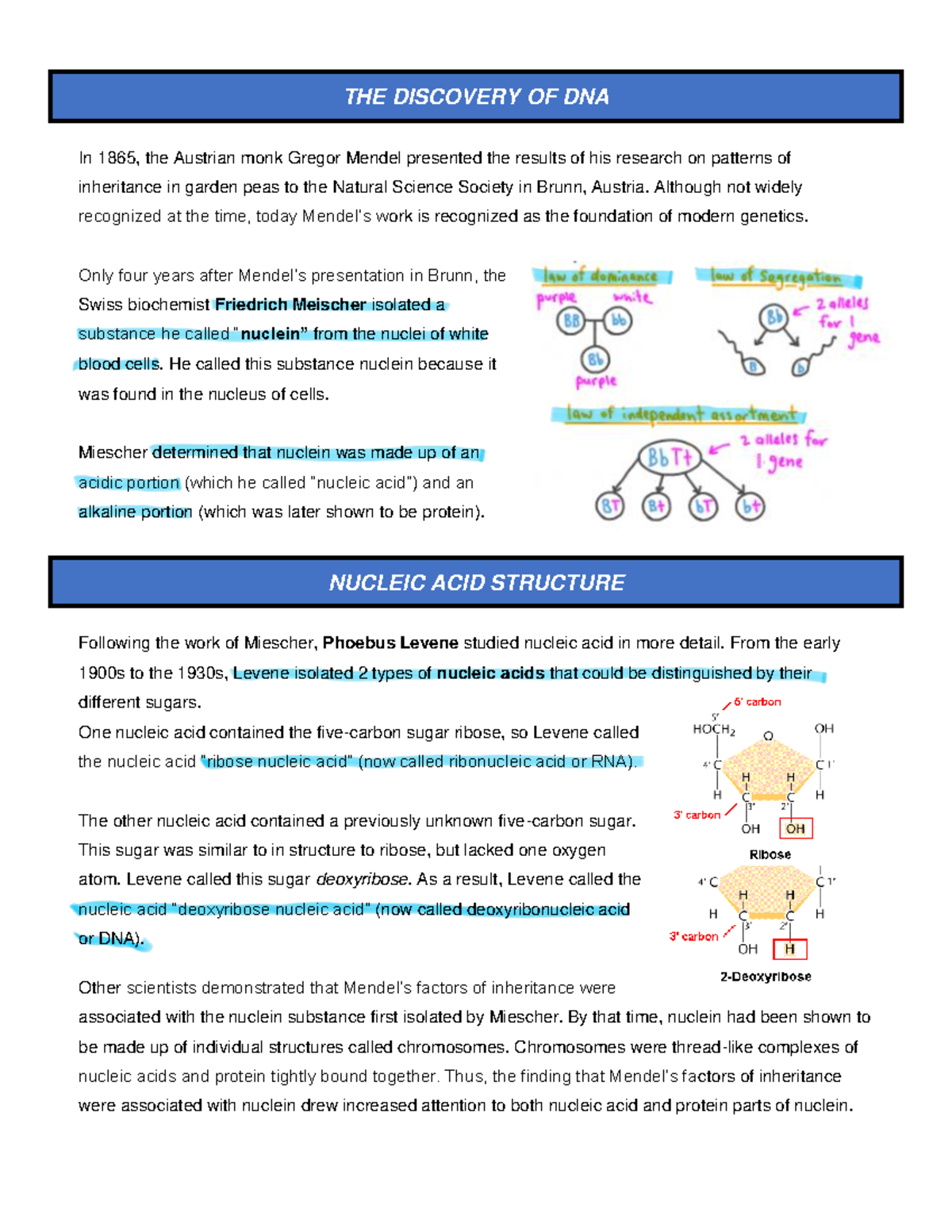 Molecular Genetics: The Discovery of DNA and Its Implications - Studocu