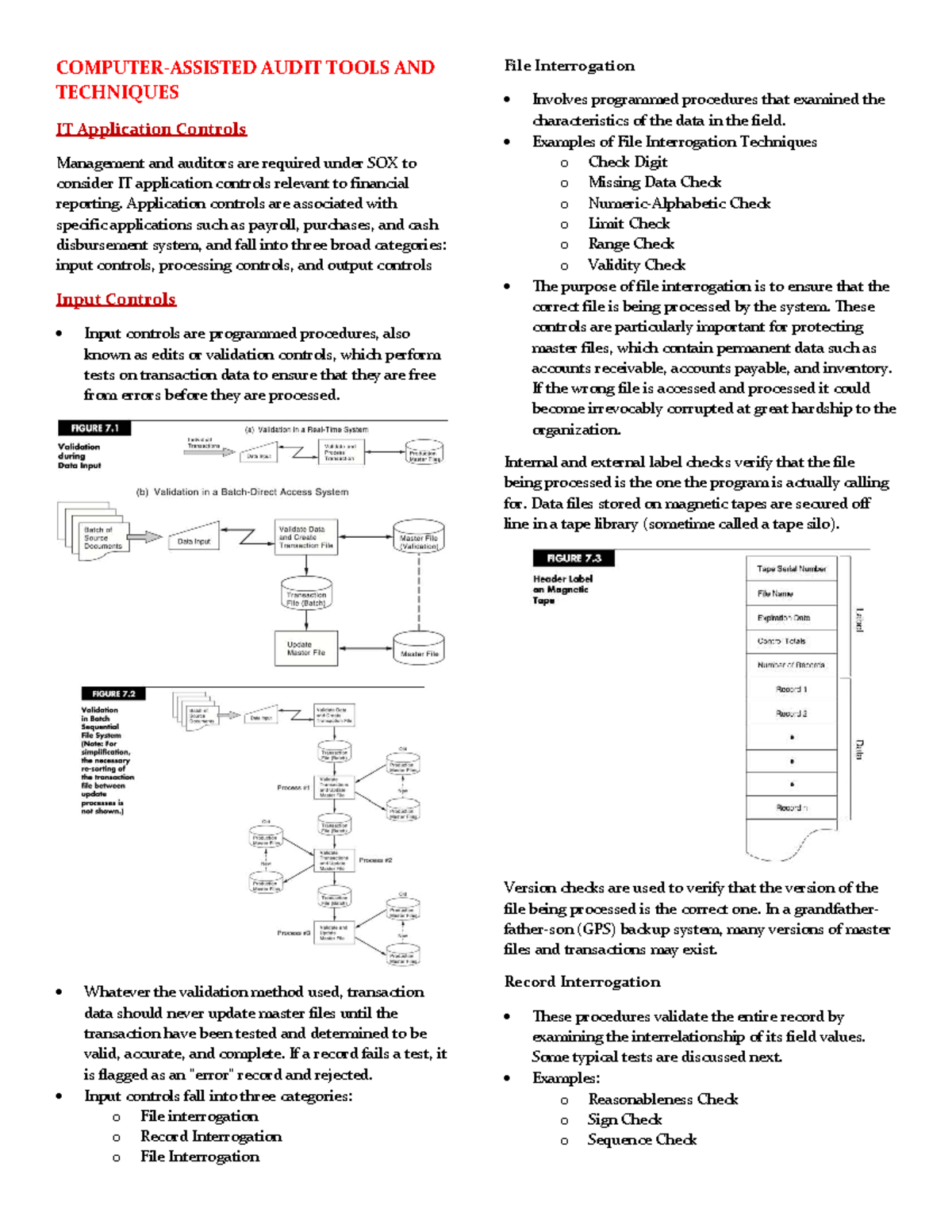 C6 Computer Auditing Notes: IT Application Controls & Techniques - Studocu