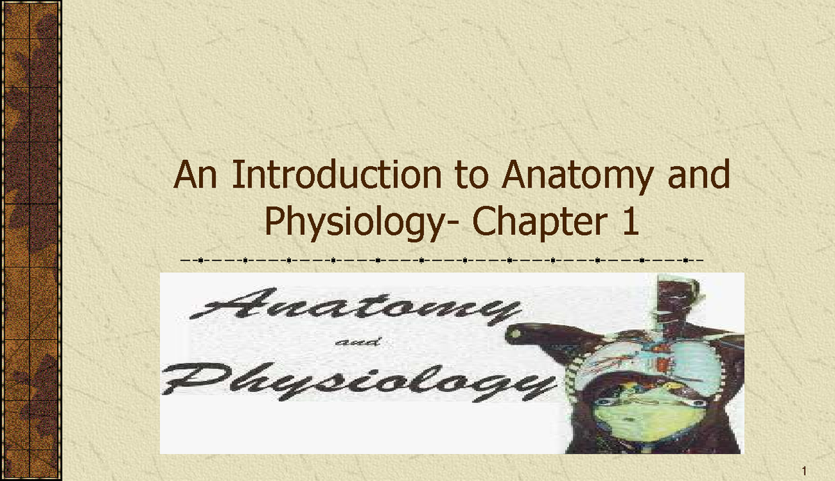 Anatomy and Physiology Overview: Chapter 1 Outline (ANAT101) - Studocu