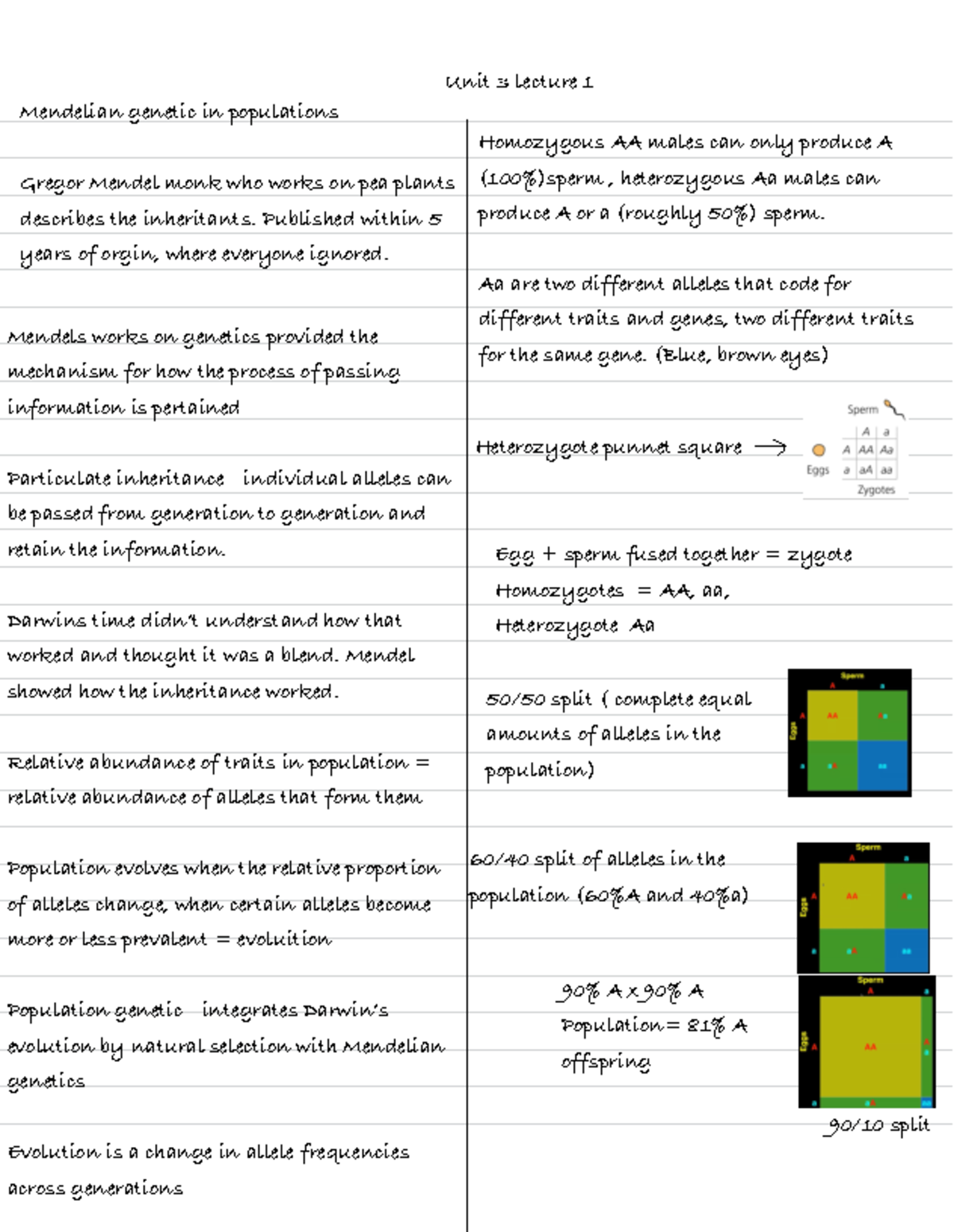 Evolution e3 - notes - Unit 3 lecture 1 Mendelian genetic in ...