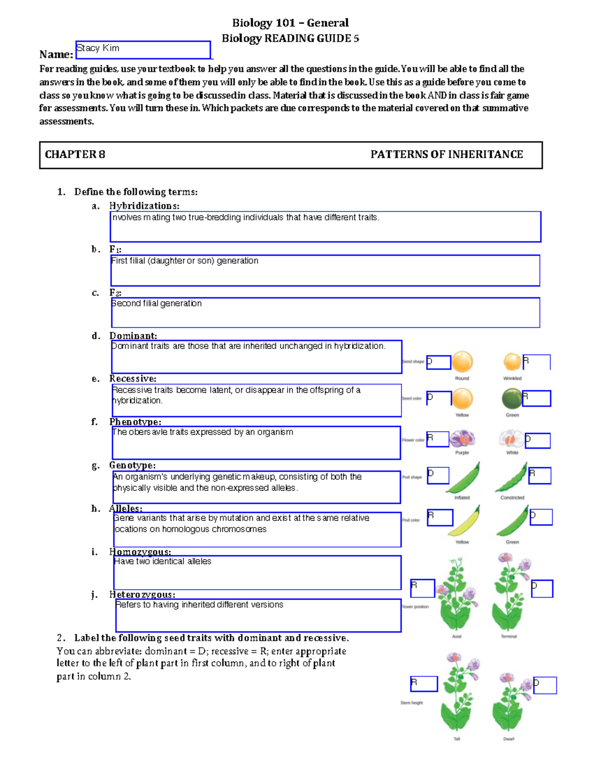 Biology 101 Reading Guide 5: Chapter 8 Patterns of Inheritance - Studocu