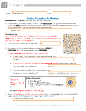 Gizmo - Food Chain - Name: Evan Sanchez Date: Student Exploration: Food ...