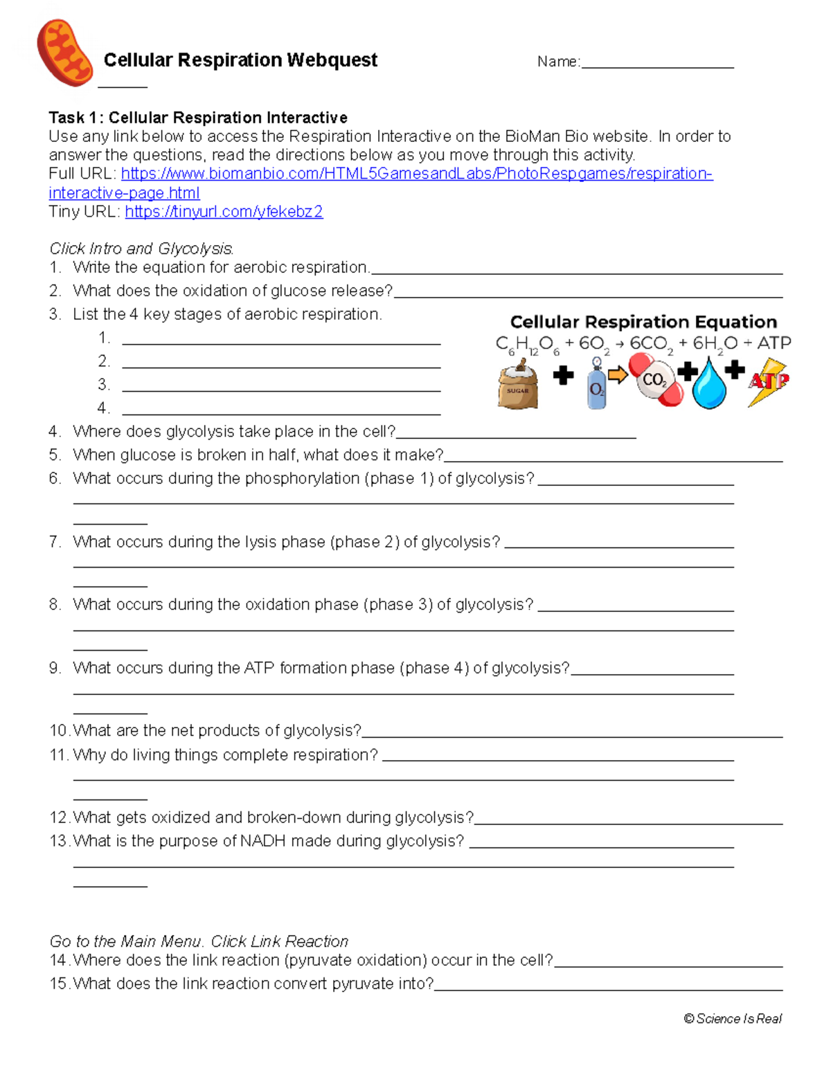 Handout for Cell Respiration Webquest - Cellular Respiration Webquest ...