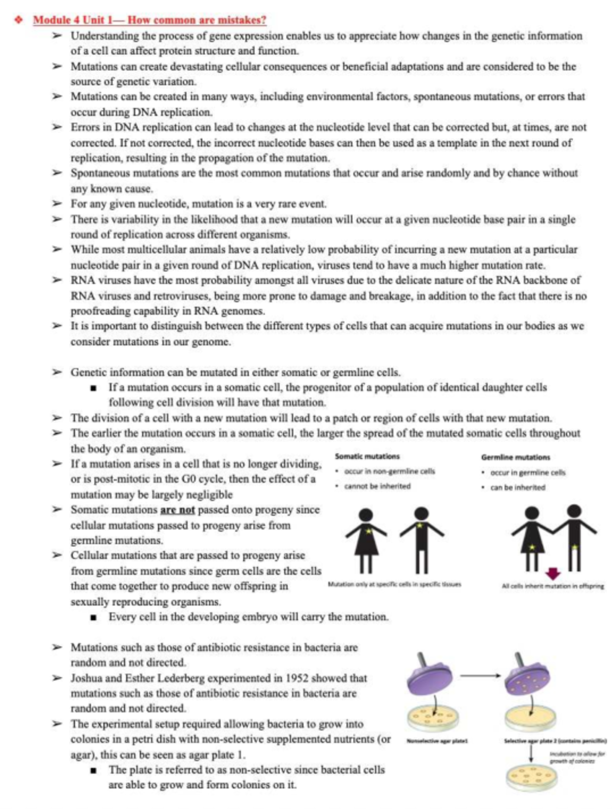 Module 4 Unit: Understanding Genetic Mutations and Their Impact - Studocu