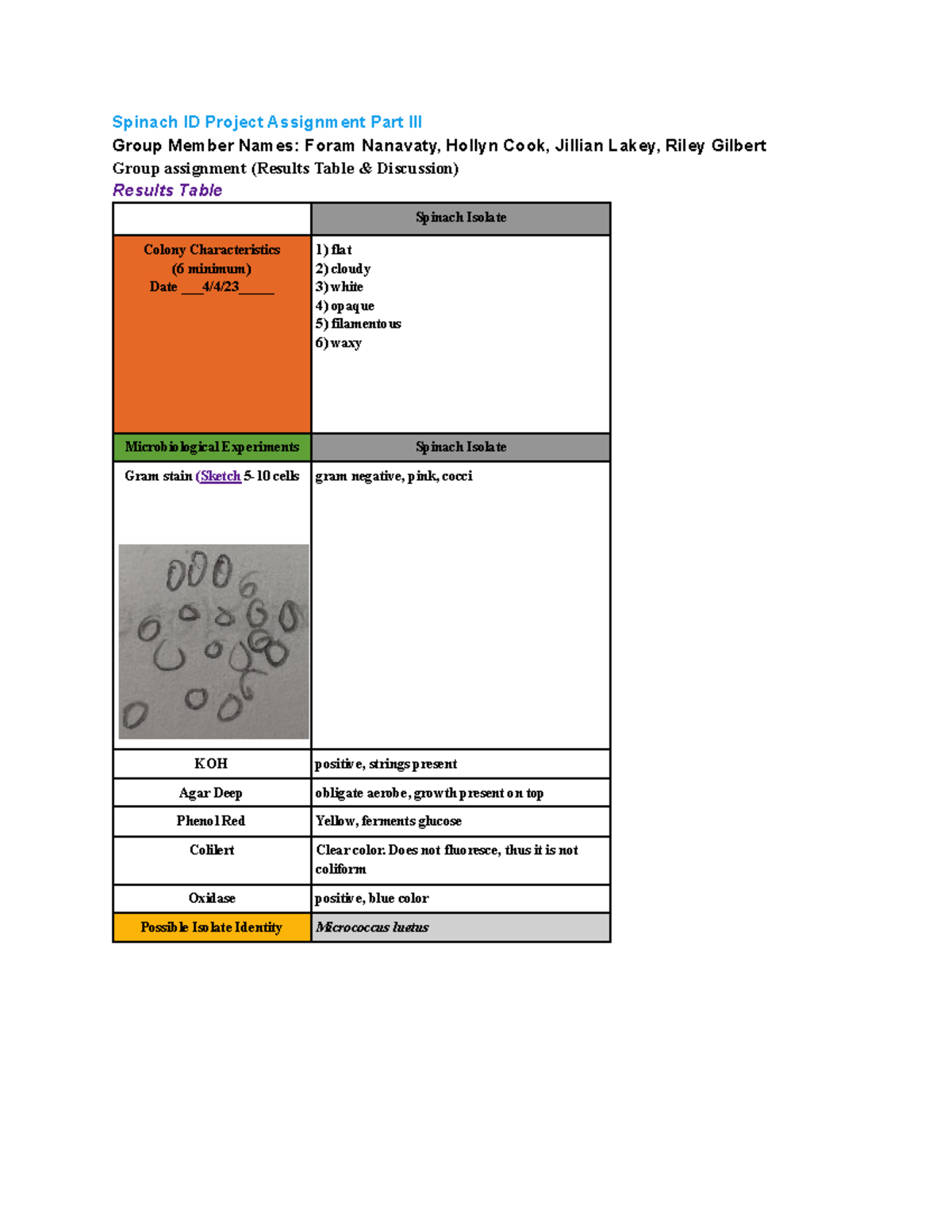 Spinach Project 3 Lab - Spinach ID Project Assignment Part III Group Member Names: Foram ...