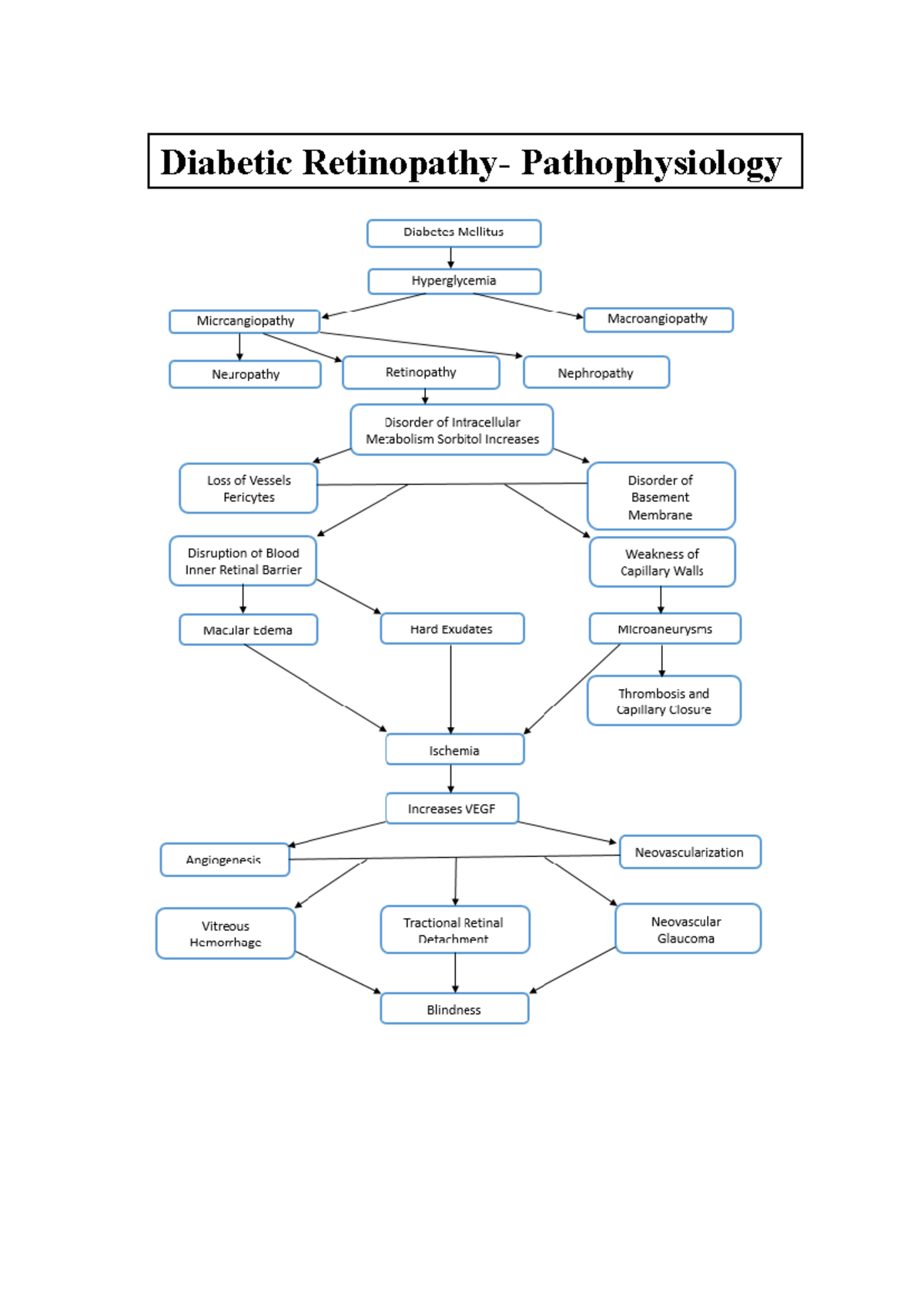 Diabetes Pathophysiology - Studocu