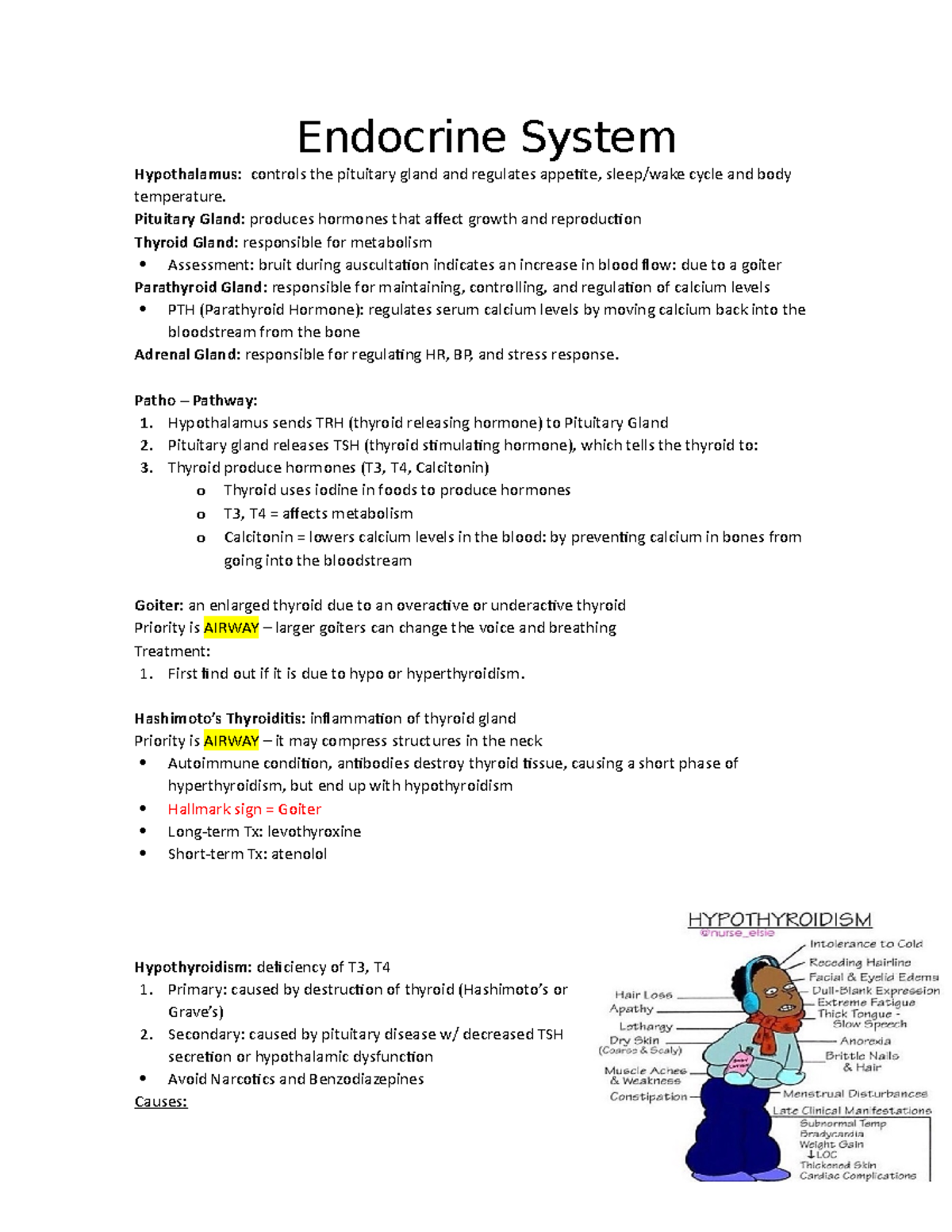 Endocrine - xcvsdfxscvxcv sdf sdf sdf sdf - Endocrine System ...