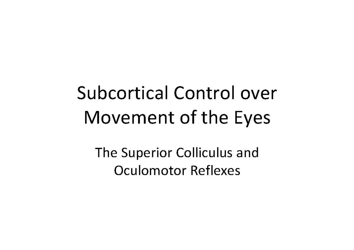 Superior Colliculus Lesion Experiment: Eye Movement Reflexes Analysis ...