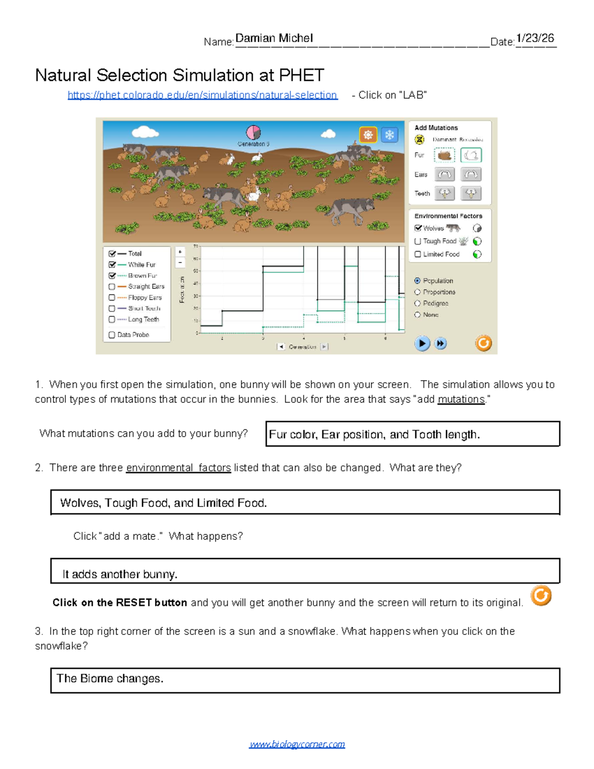 Natural Selection Simulation Insights and Analysis (PHET) - Studocu