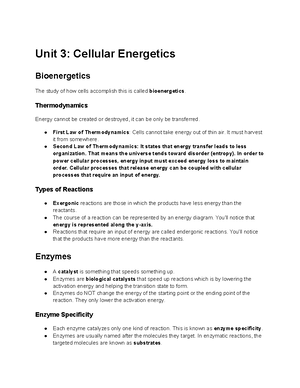 KEY AP Biology Unit 3 Cellular Energetics - Unit 3: Cellular Energetics ...
