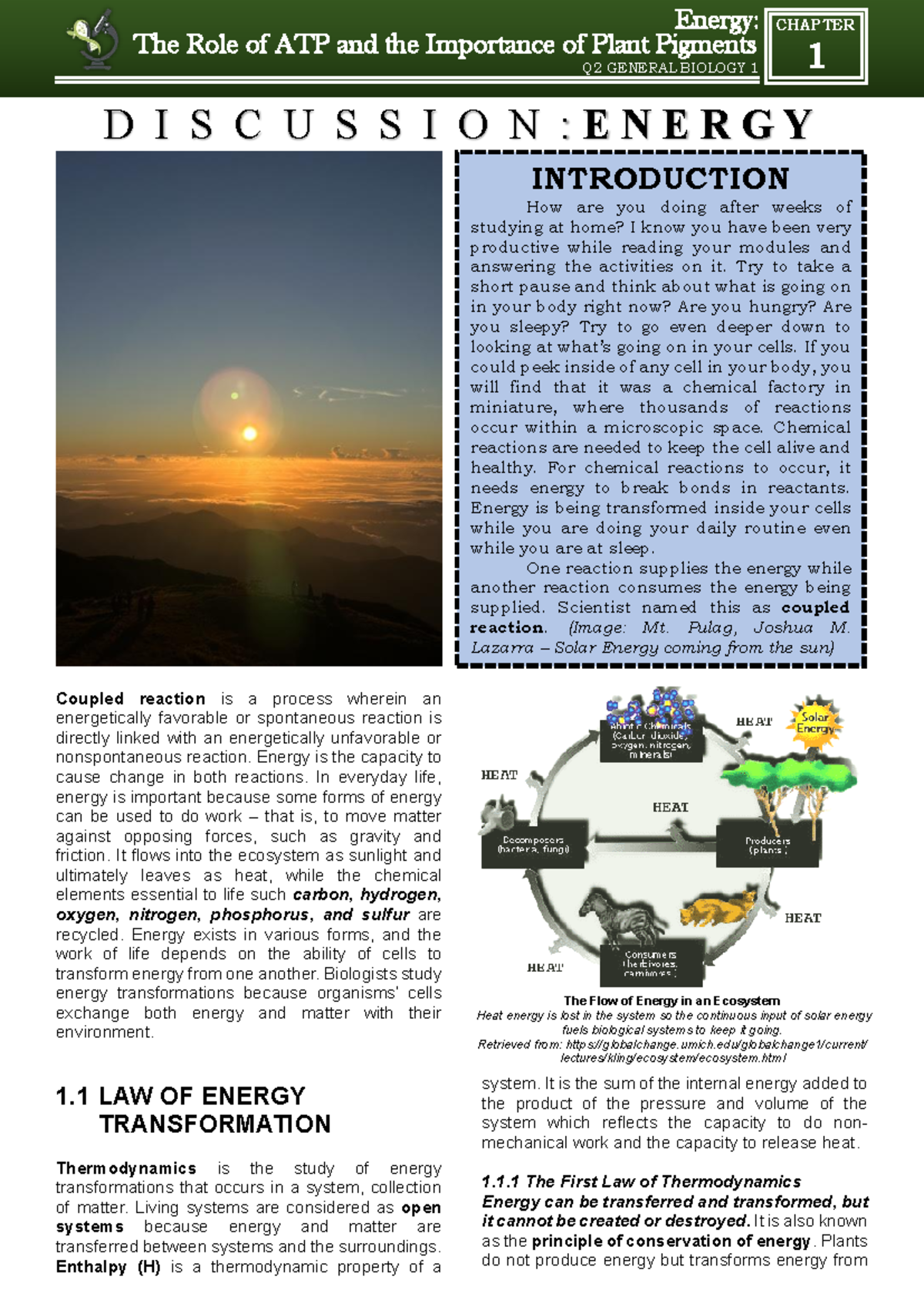 GB1 Q2 Chapter 1: Energy Coupling, ATP Role & Plant Pigments - Studocu