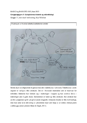 [Solved] nevne eksempler p hvordan de ulike leddene i smittekjeden kan ...
