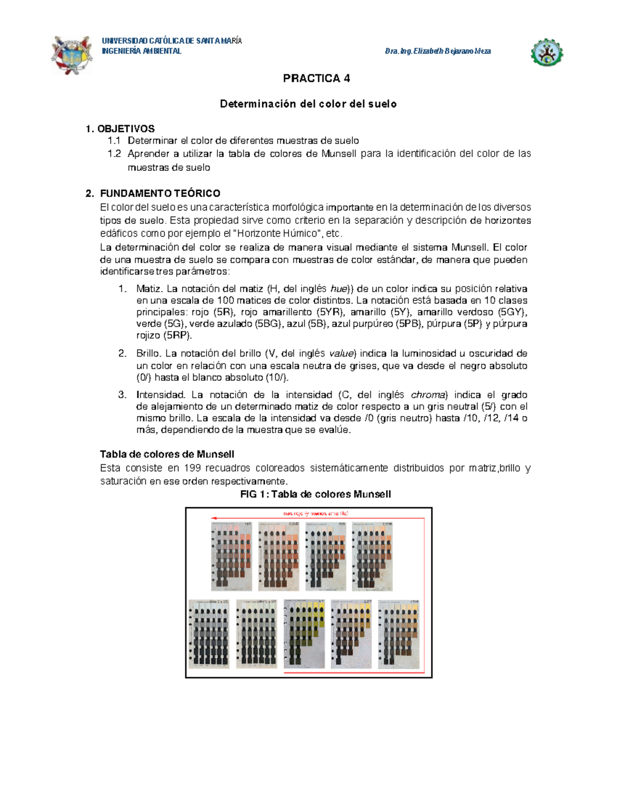 Guía de la Práctica N° 4 - COLOR DE SUELO - Warning: TT: undefined function: 32 INGENIERÍA ...