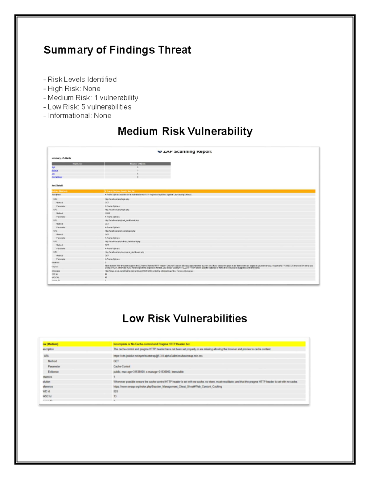Infosec - INFO: Vulnerability Assessment Summary & Risk Levels Report ...