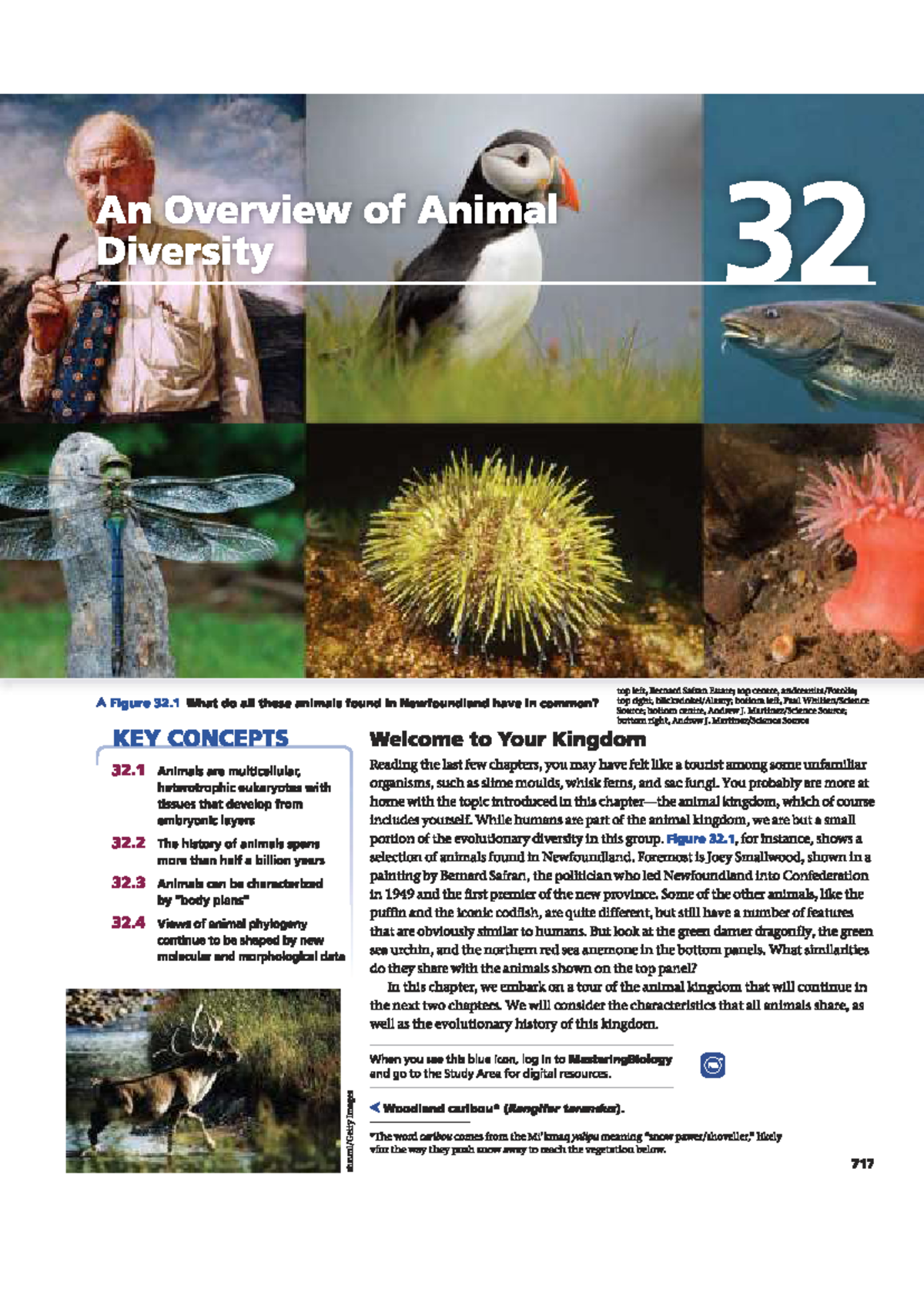 BIO153 Chapter 32: Overview of Animal Diversity and Evolution - Studocu