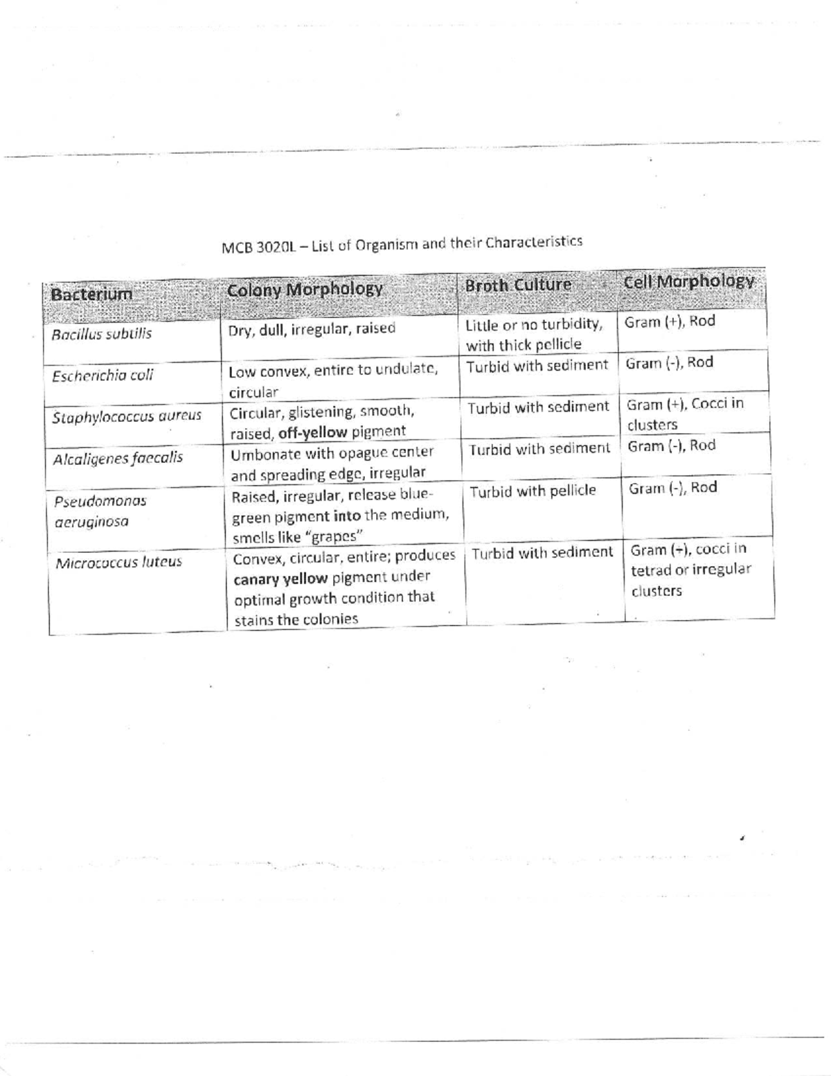 MCB 3020L Bacteria Characteristics and Morphology Chart - Studocu