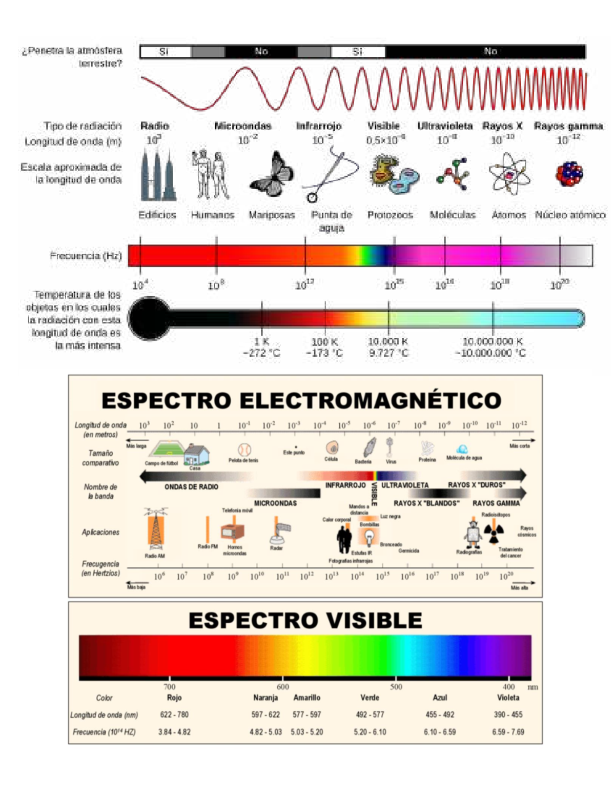 Espectro Electromagnético: Luz Visible y Tipos de Radiación - Studocu