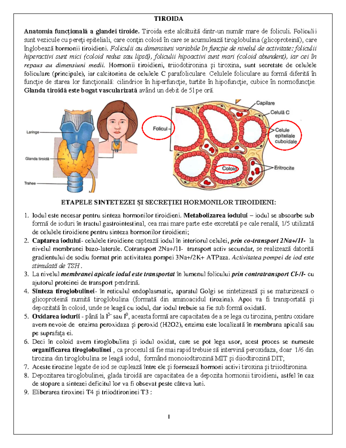 TIROIDA Anatomia și Funcția Glandei Tiroide - Notițe de Lecție - Studocu