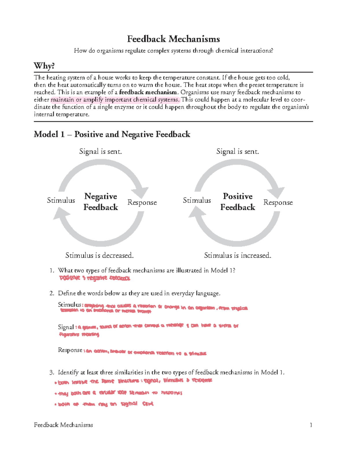 Biology 12: Feedback Mechanisms and Homeostasis Analysis - Studocu