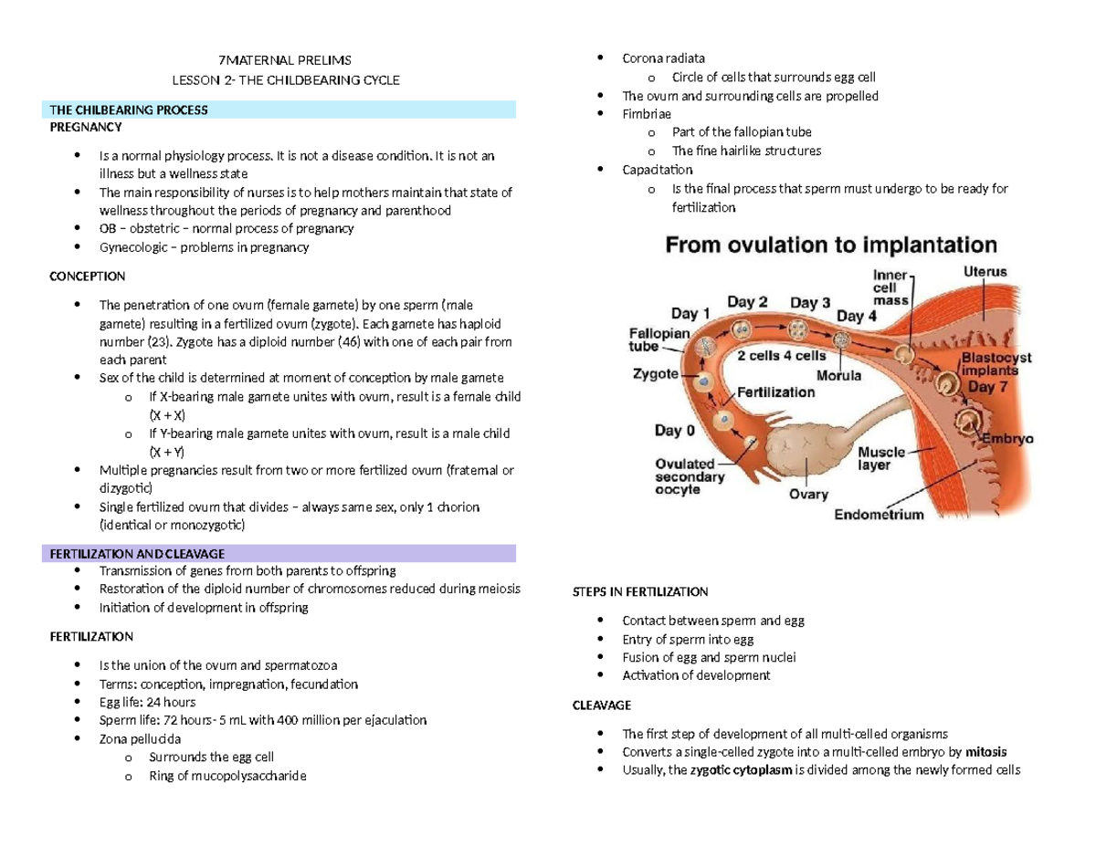 Lesson 2 The childbearing process - 7MATERNAL PRELIMS LESSON 2- THE ...