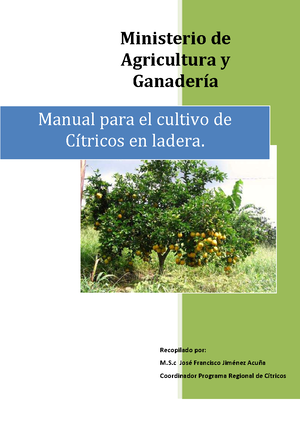 Morfología DEL Mango - MORFOLOGÍA DEL MANGO RAÍZ El mango tiene una ...