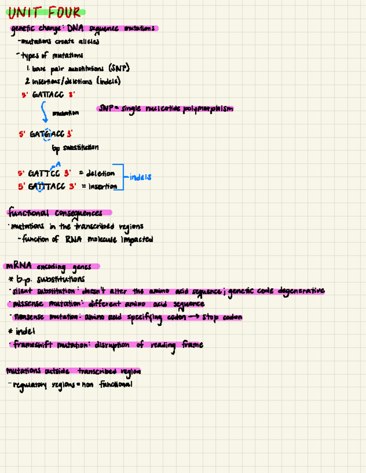 Genetics Unit 4: DNA Mutations, Evolution, and Population Genetics ...