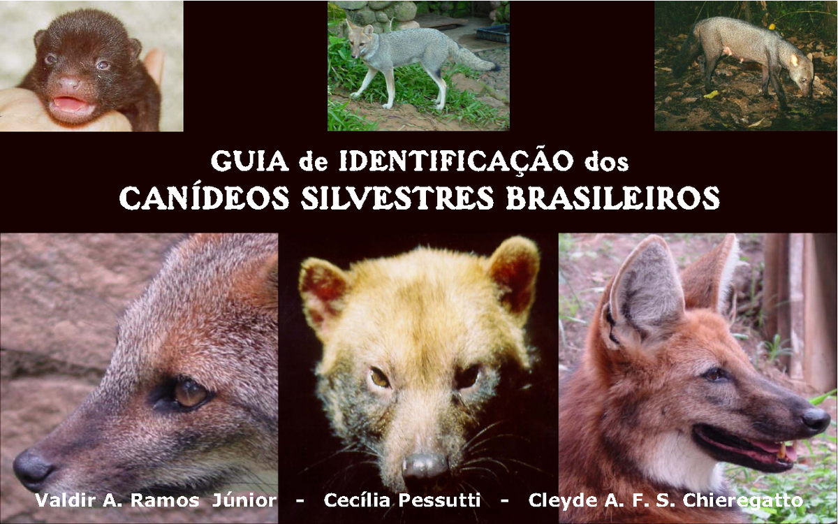 Guia de Identificação dos Canídeos Silvestres Brasileiros - 599 Ramos ...