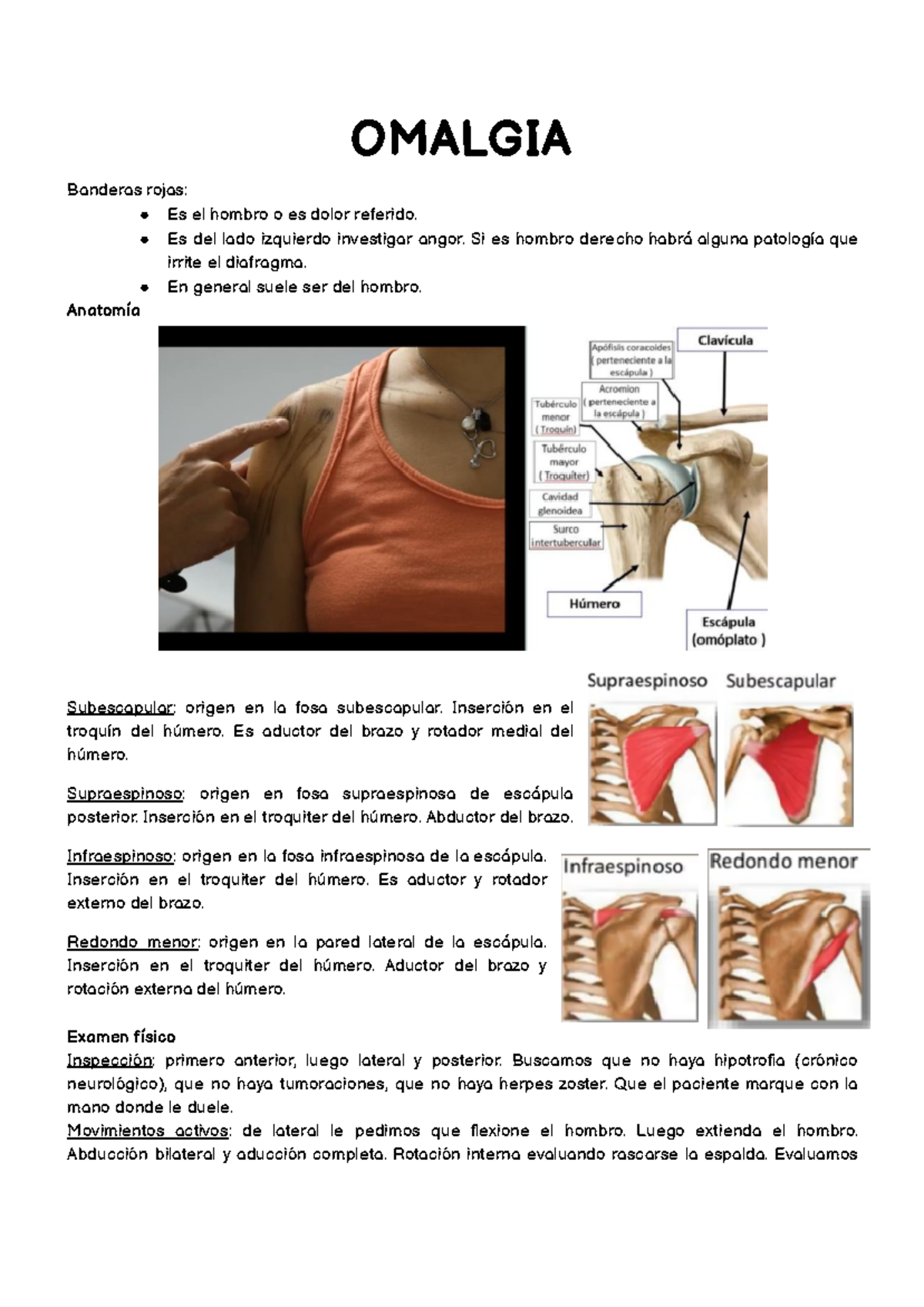 Resu omalgia - Documentos de Google - OMALGIA Banderas rojas: Es el ...